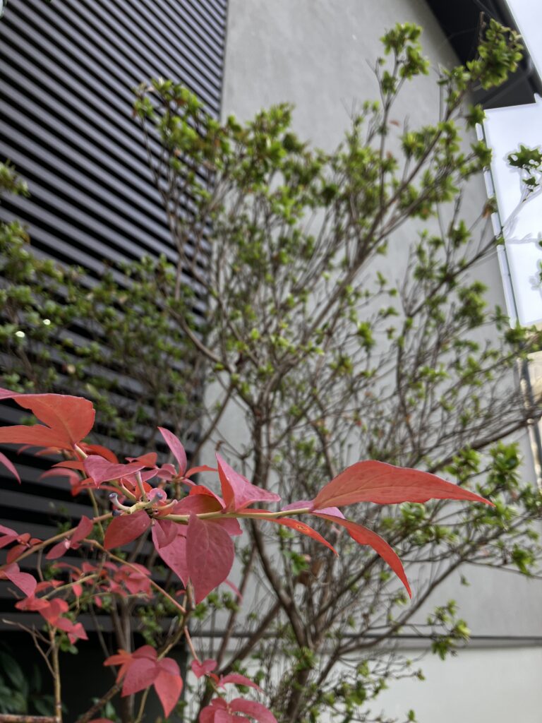 今年は寒そうです！ | SUBACO（スバコ）| 小さな家を神戸・西宮・明石で 新築戸建て注文住宅