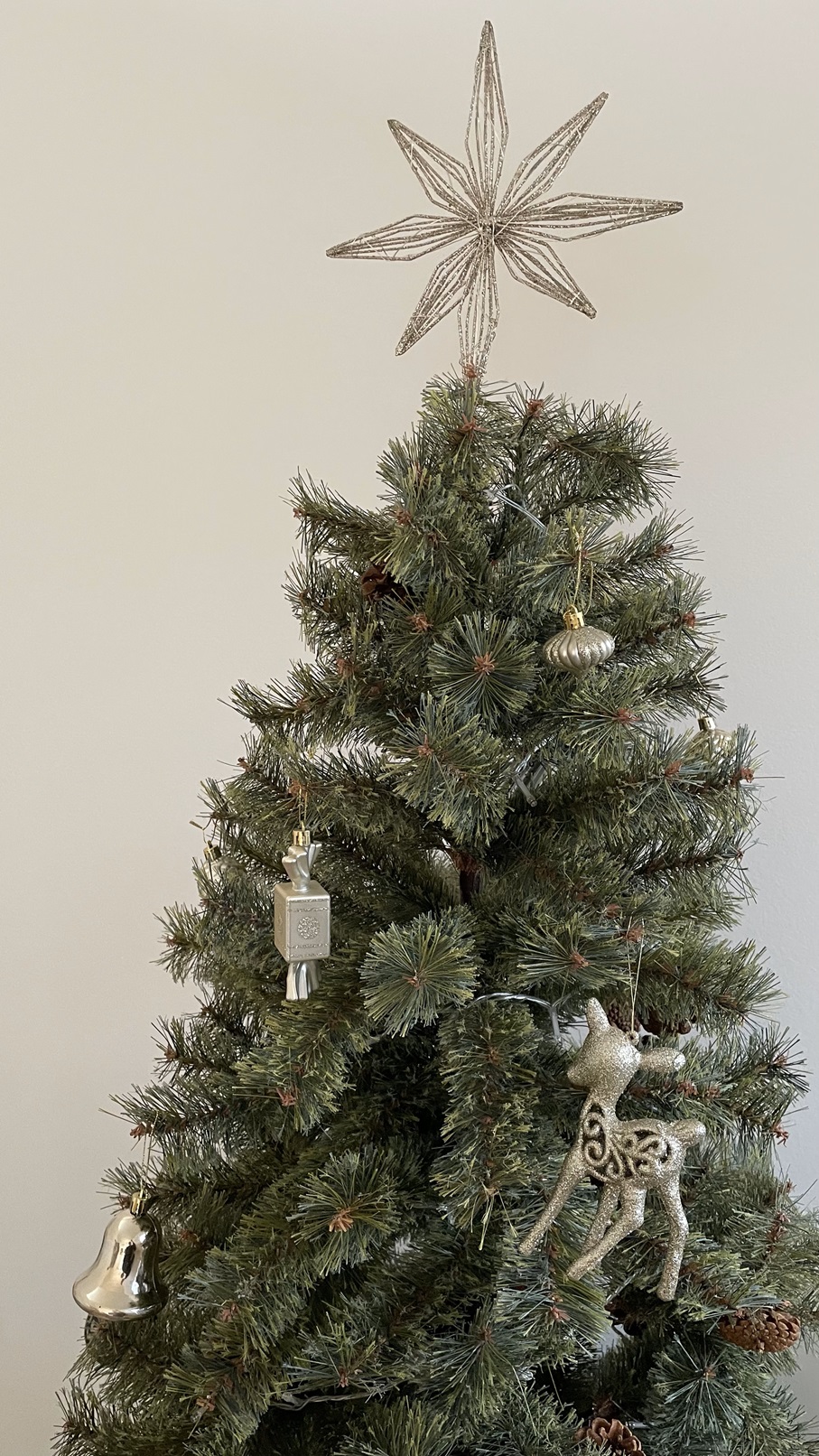 もうすぐクリスマス | SUBACO（スバコ）| 小さな家を神戸・西宮・明石で 新築戸建て注文住宅