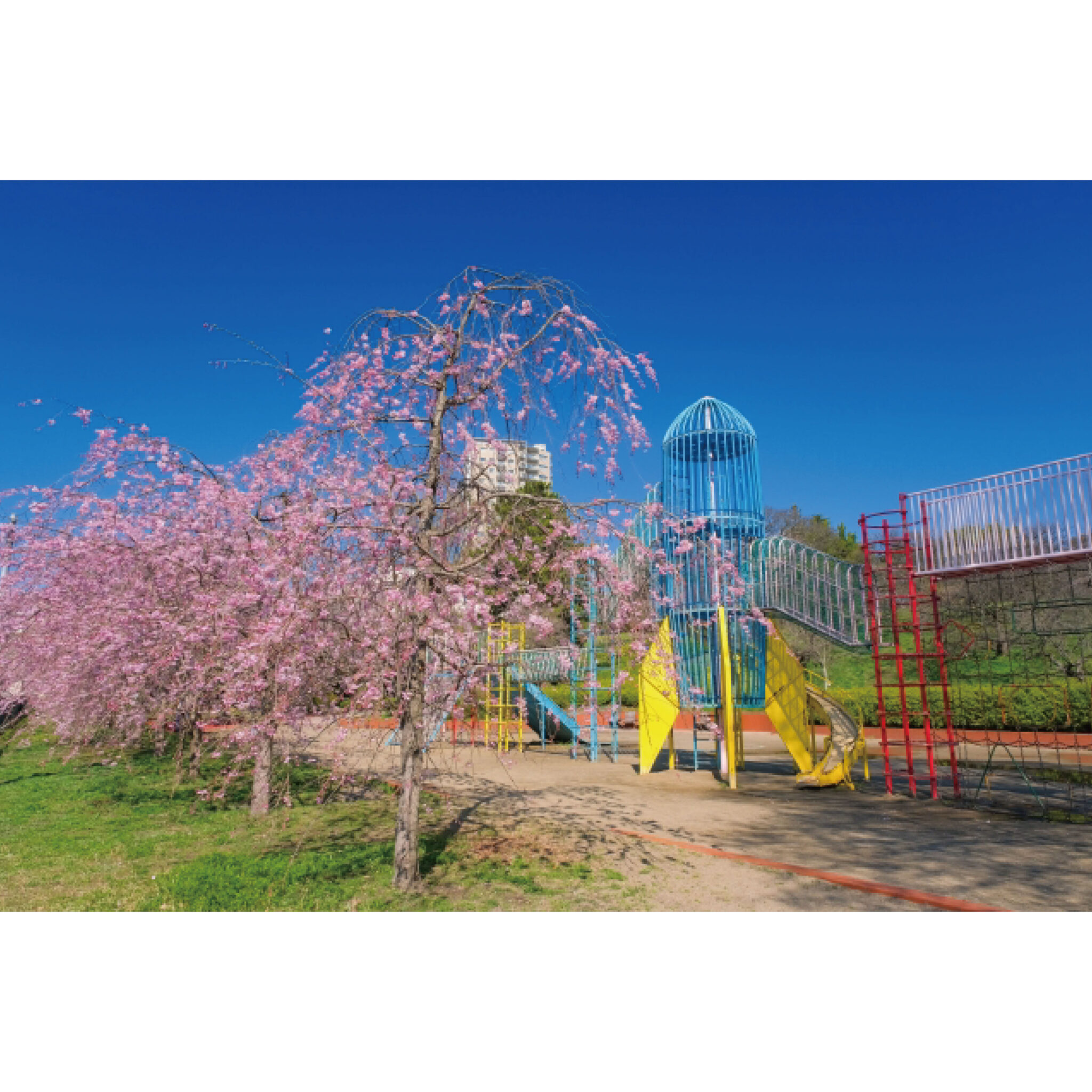 【第1回】失敗しない土地選び｜立地と交通アクセスの重要性 | SUBACO（スバコ）| 小さな家を神戸・西宮・明石で 新築戸建て注文住宅