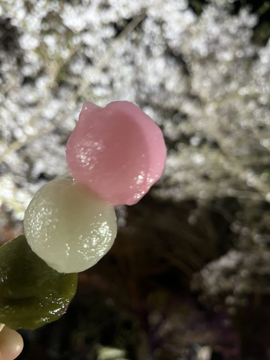 SUBACOのおうち⌂ | SUBACO（スバコ）| 小さな家を神戸・西宮・明石で 新築戸建て注文住宅