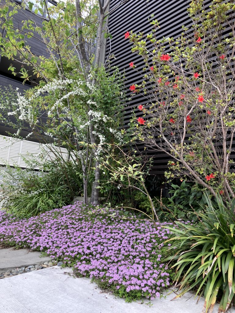 もうすぐ梅雨の時期ですね | SUBACO（スバコ）| 小さな家を神戸・西宮・明石で 新築戸建て注文住宅
